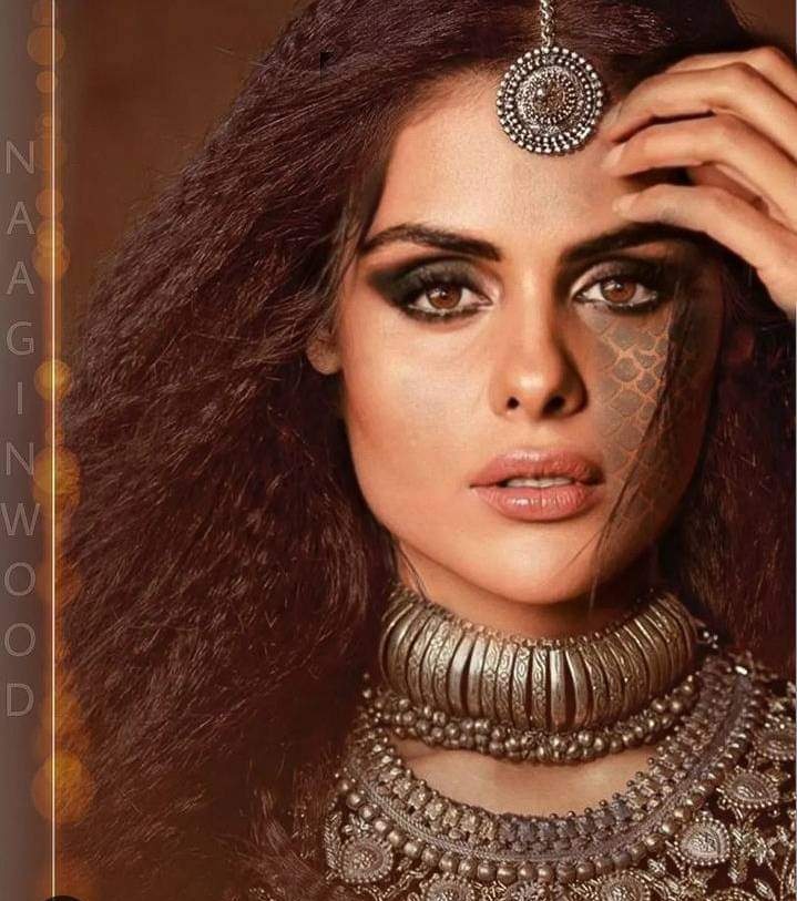 Pakistani Bridal Nose Rings