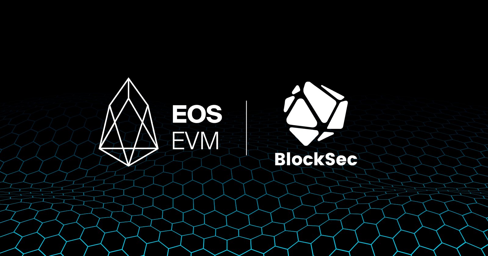 EOS Network Foundation on Twitter: "ICYMI The #ENF has joined forces with @BlockSecTeam to ...
