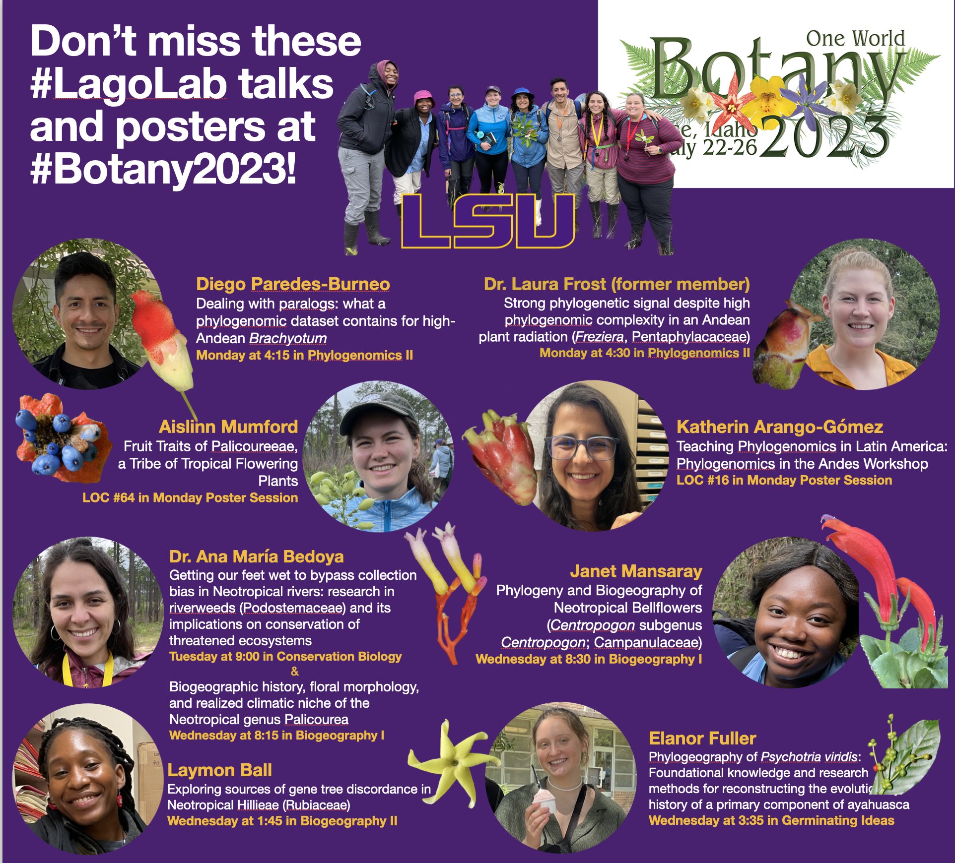 Dr. Laura Lagomarsino on Twitter: "An updated of the #LagoLab at #Botany2023 poster with updated ...