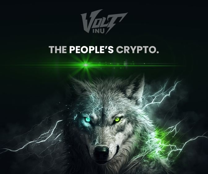 Volt Inu ⚡️ on Twitter: "We never sleep! We #VOLT ⚡️⚡️⚡️ https://t.co/PwlsZYprtm" / Twitter