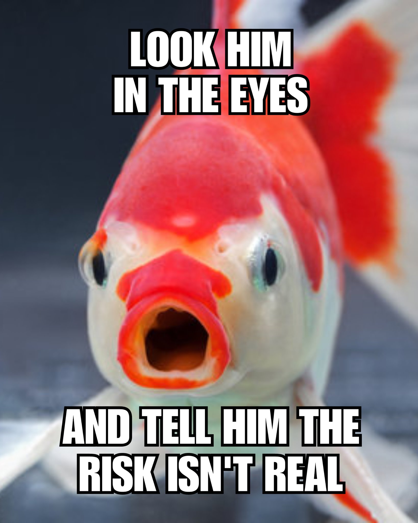 Memes Center Fish Only Dead Fish Go With The Flow Aesthetic, Meme