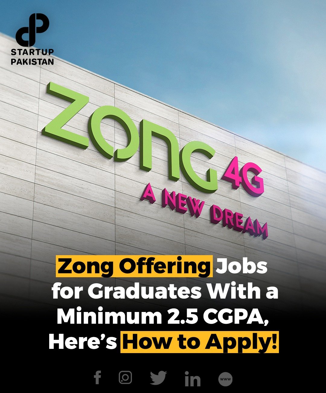 Zong Logo