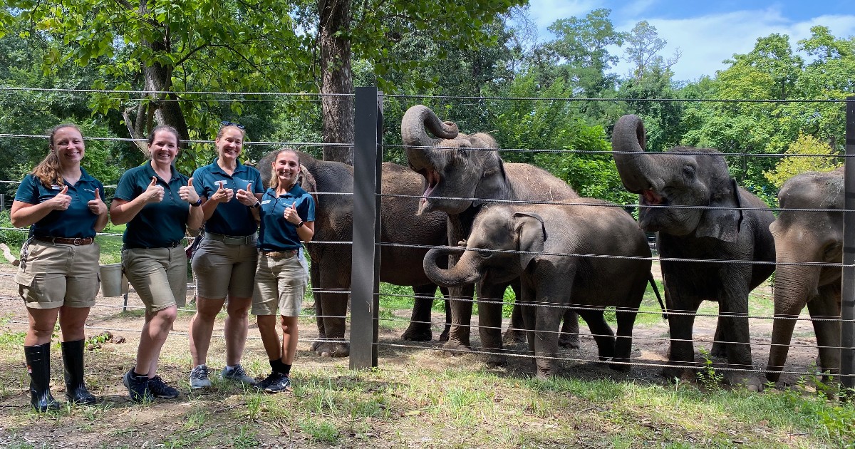 Saint Louis Zoo on Twitter: "Whether they have been on this team for 2 ...