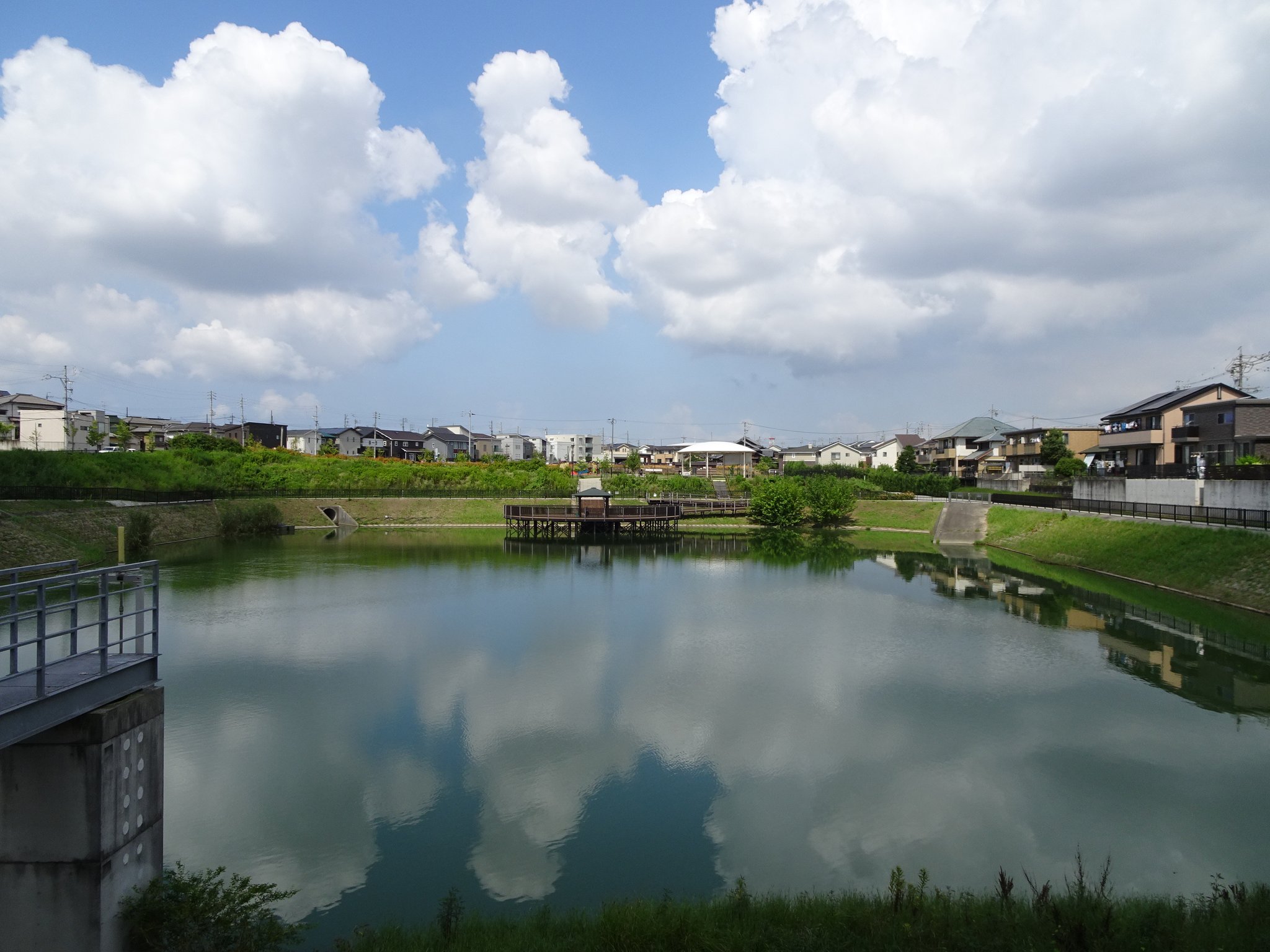 Ruby & Emmeline on Twitter: "八ツ屋大池公園のカイツブリ 夏っぽい空の大池を汗だくで歩く。若鳥は5羽確認、親は巣でまた抱卵(3回目)を始めたかもしれない。 #大府市 ...