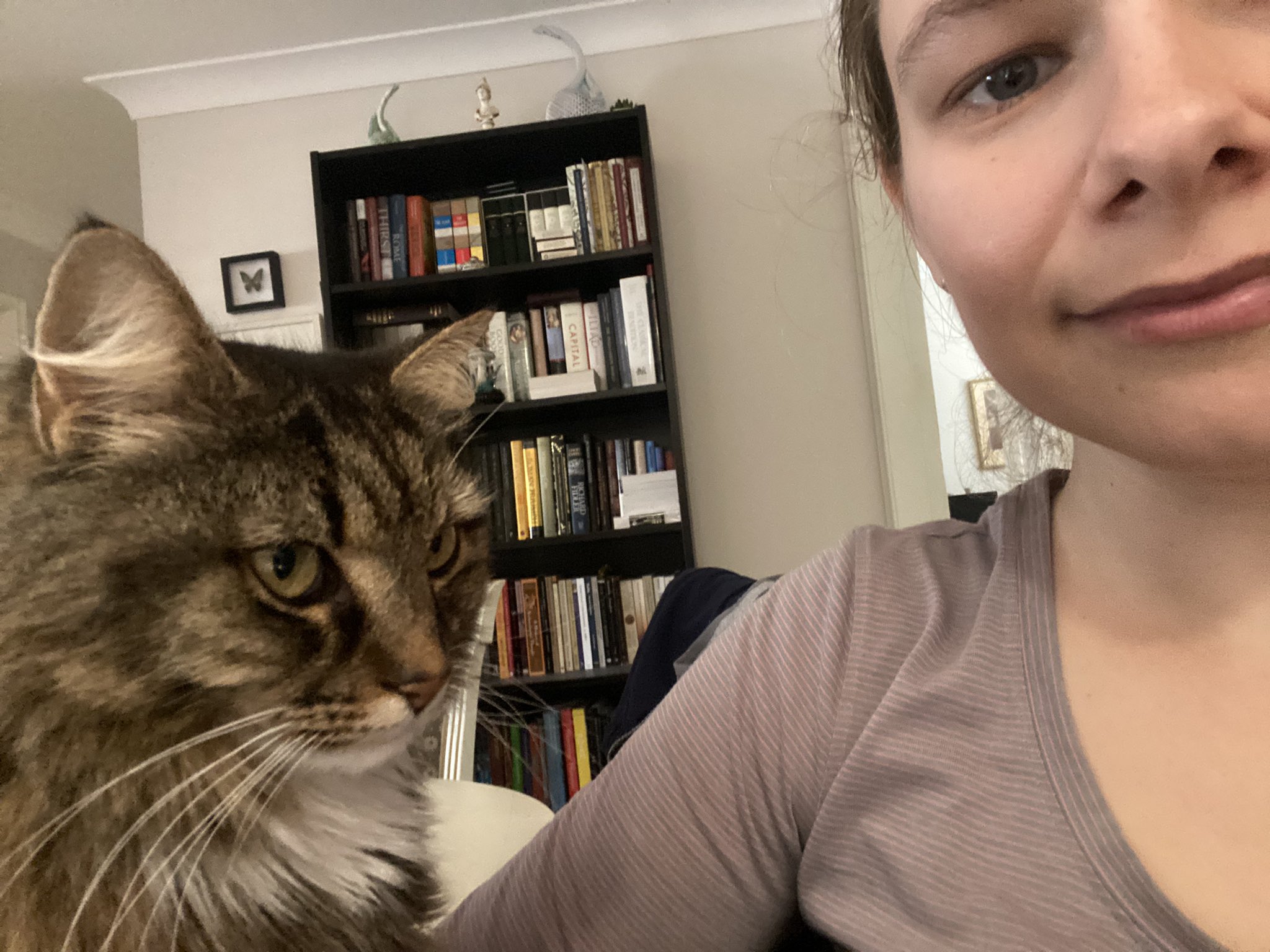 Roxy on Twitter: "she’s constantly in my face https://t.co/eMQR9TdXCH" / Twitter