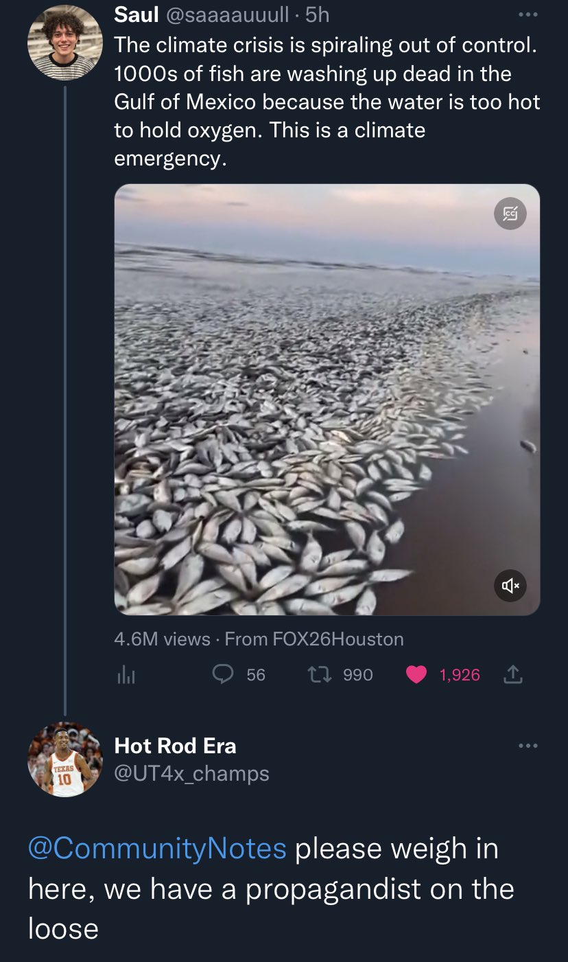 Roxy on Twitter: "it’s going to be chaos when these people finally clue in. if they ever do ...