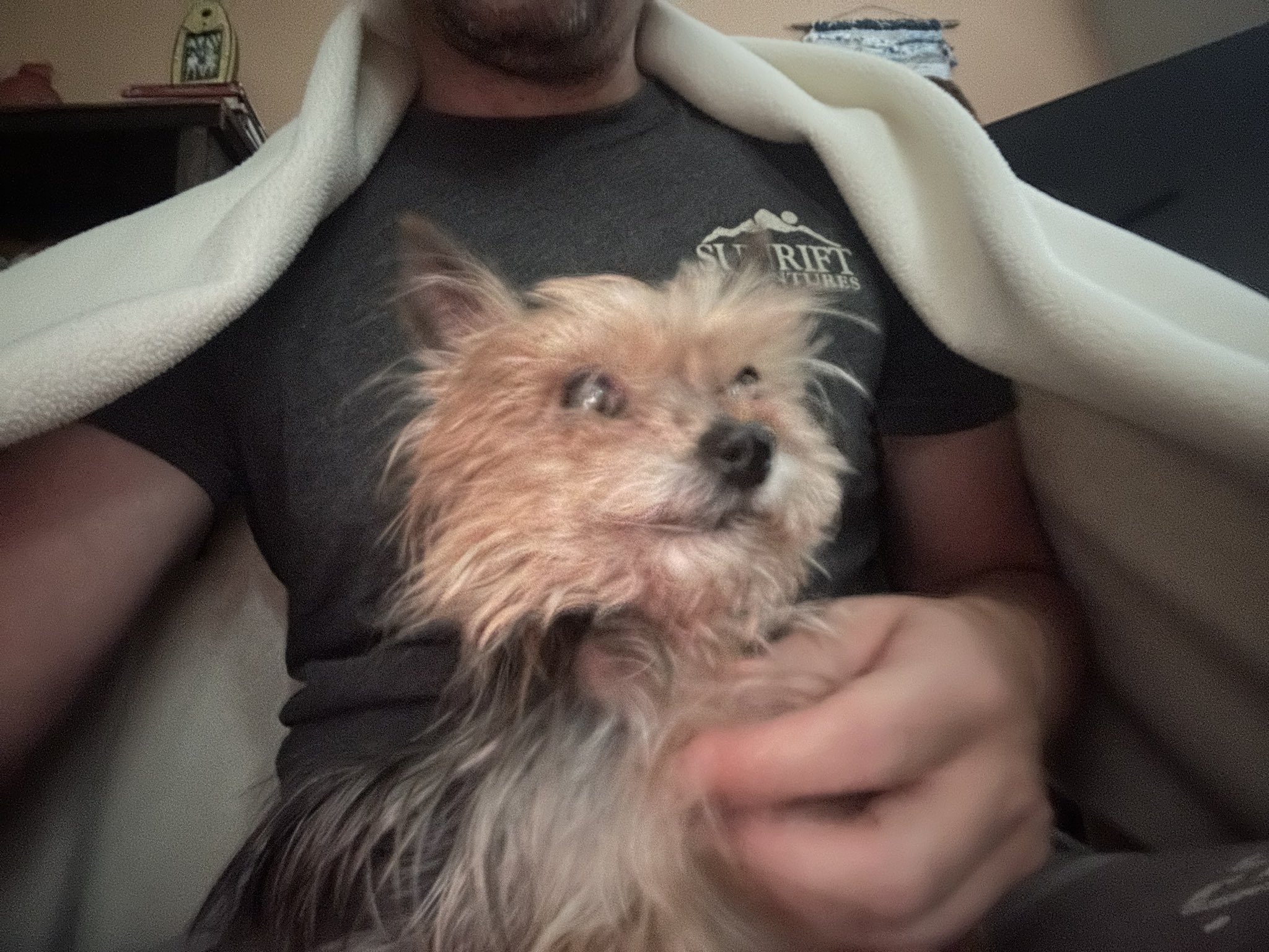 Reed Timmer, PhD on Twitter: "I sure have missed my storm chasing partner Gizmo. She has ...
