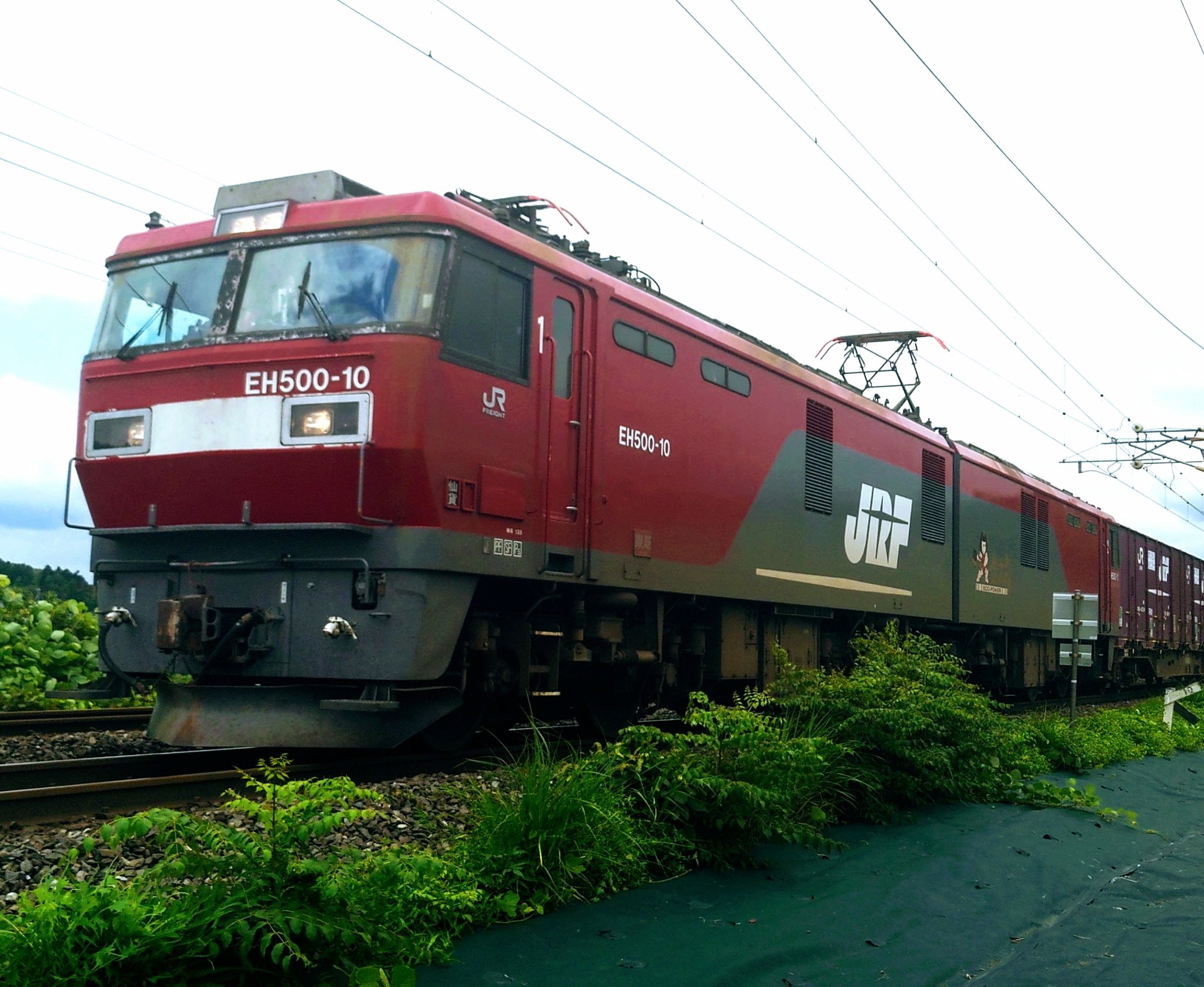 梶原敏正💉💉💉💉 on Twitter: "JR貨物金太郎EH500-10号機、3次形最初とEH500-80号機、最後81号機まで何だけど。81号機は違う所に居た。(￣ ￣;) https ...