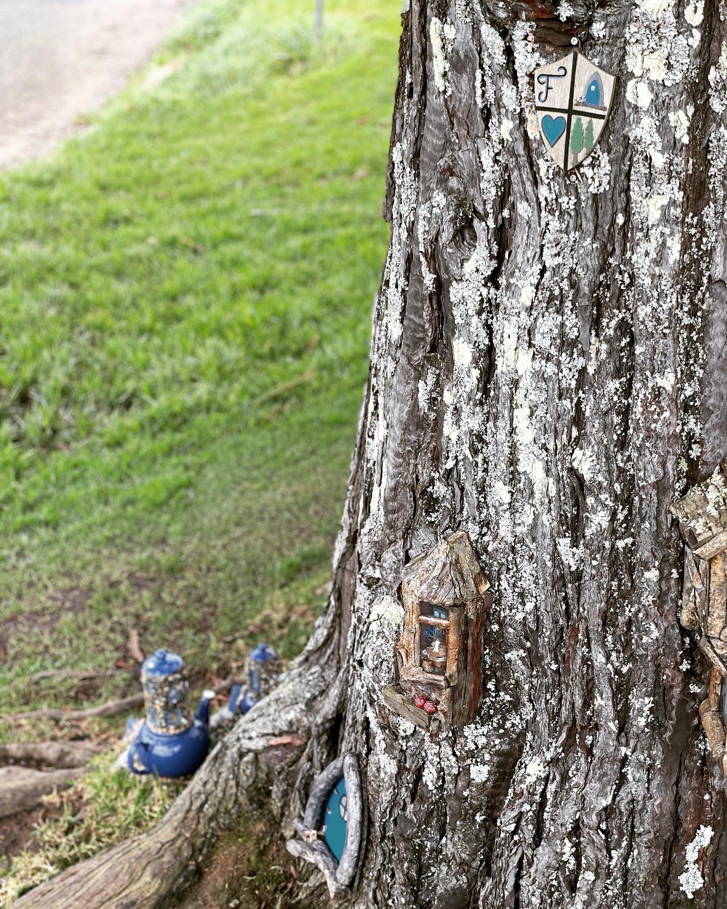 Bear Liu on Twitter: "Hobsonville的仙女树屋：） https://t.co/NvgUZqbfTF" / Twitter