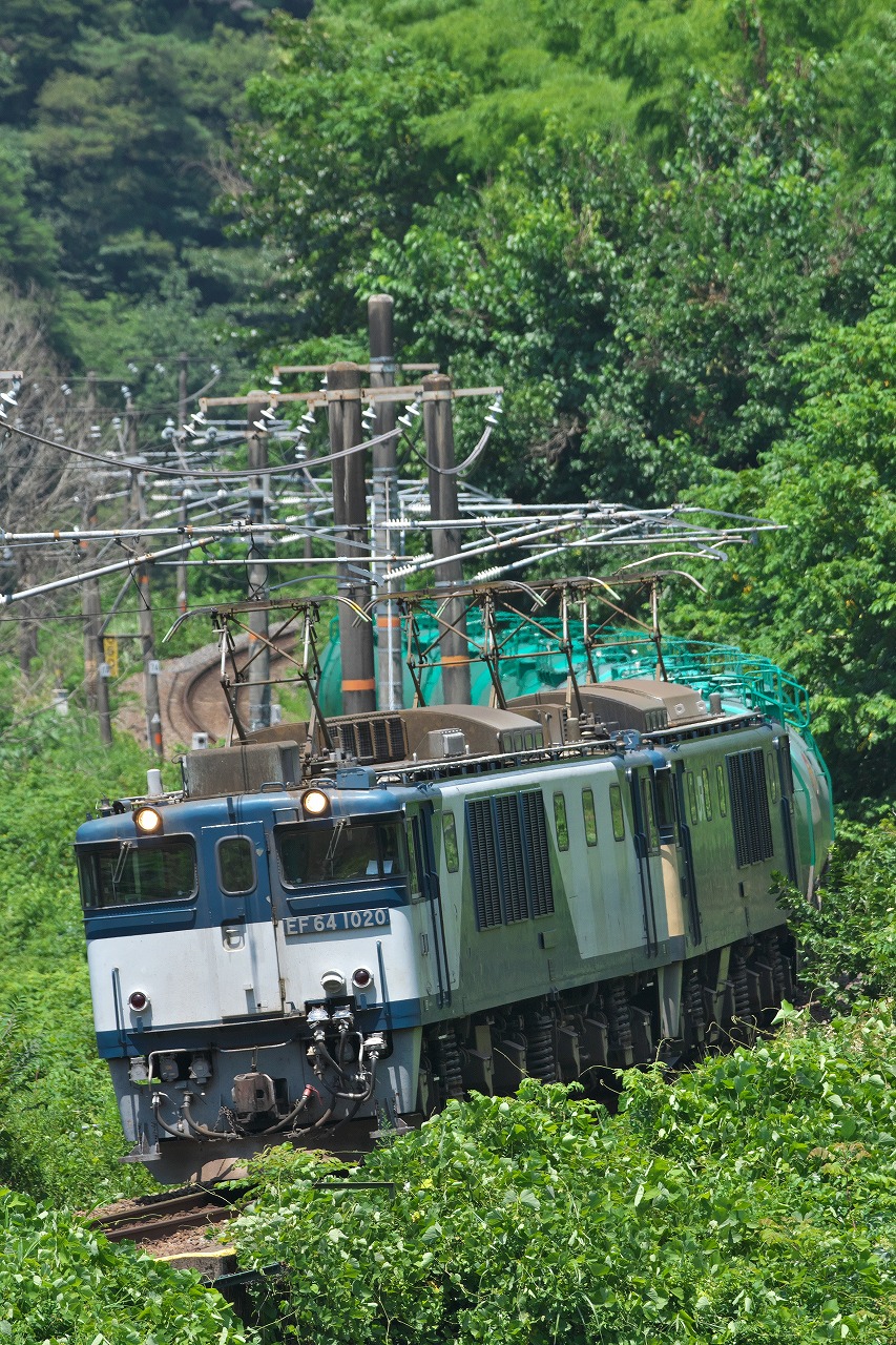 春日井駅鉄ちゃん on Twitter: "2023.7.22 須原－倉本 8084レ EF64 1020+EF64 1021 https://t.co/ZEuXkvUWUC" / Twitter