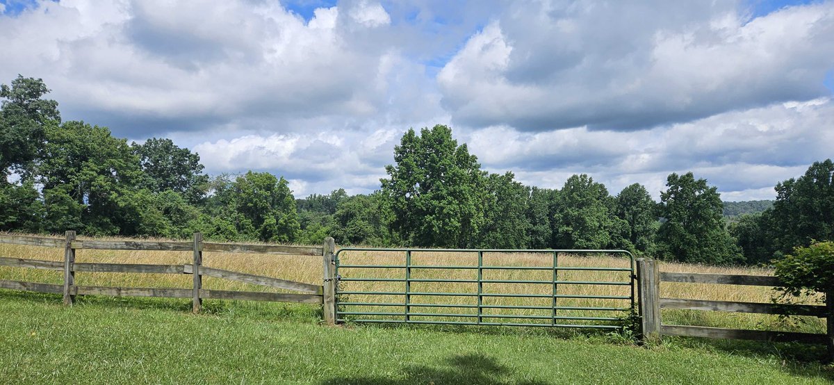 Welcome to the Tan Laboratory! - Tan Laboratory