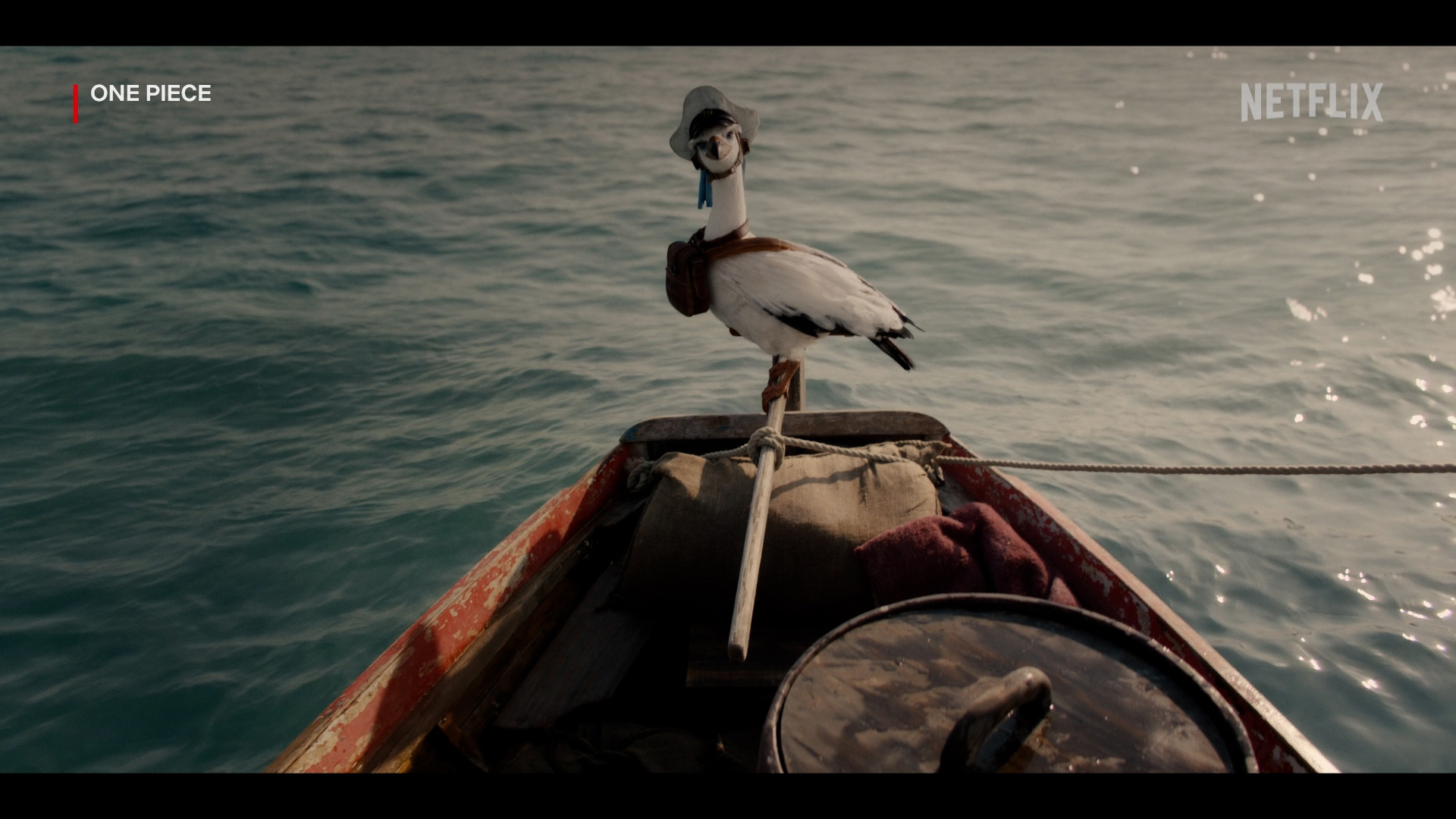 One Piece Symbolic Montage Epic Directed Seagulls Scene Apple TV+