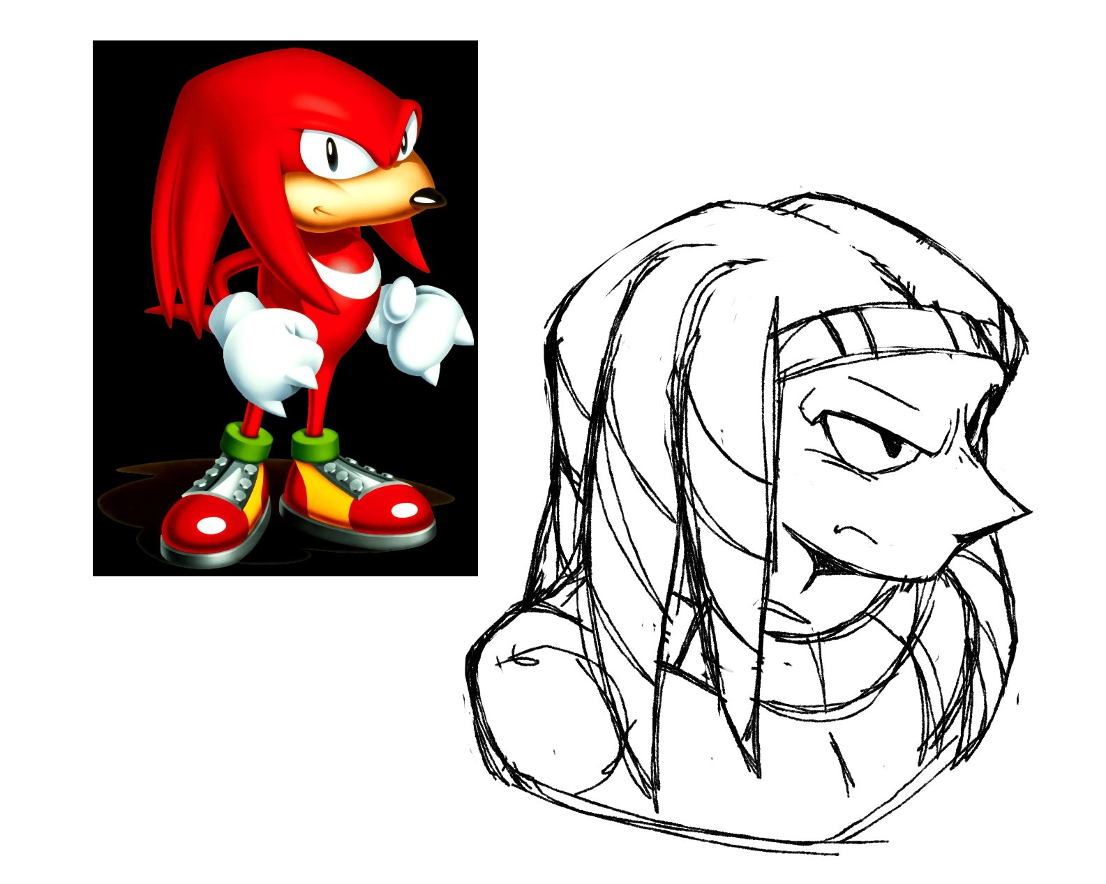Knuckles The Echidna Human