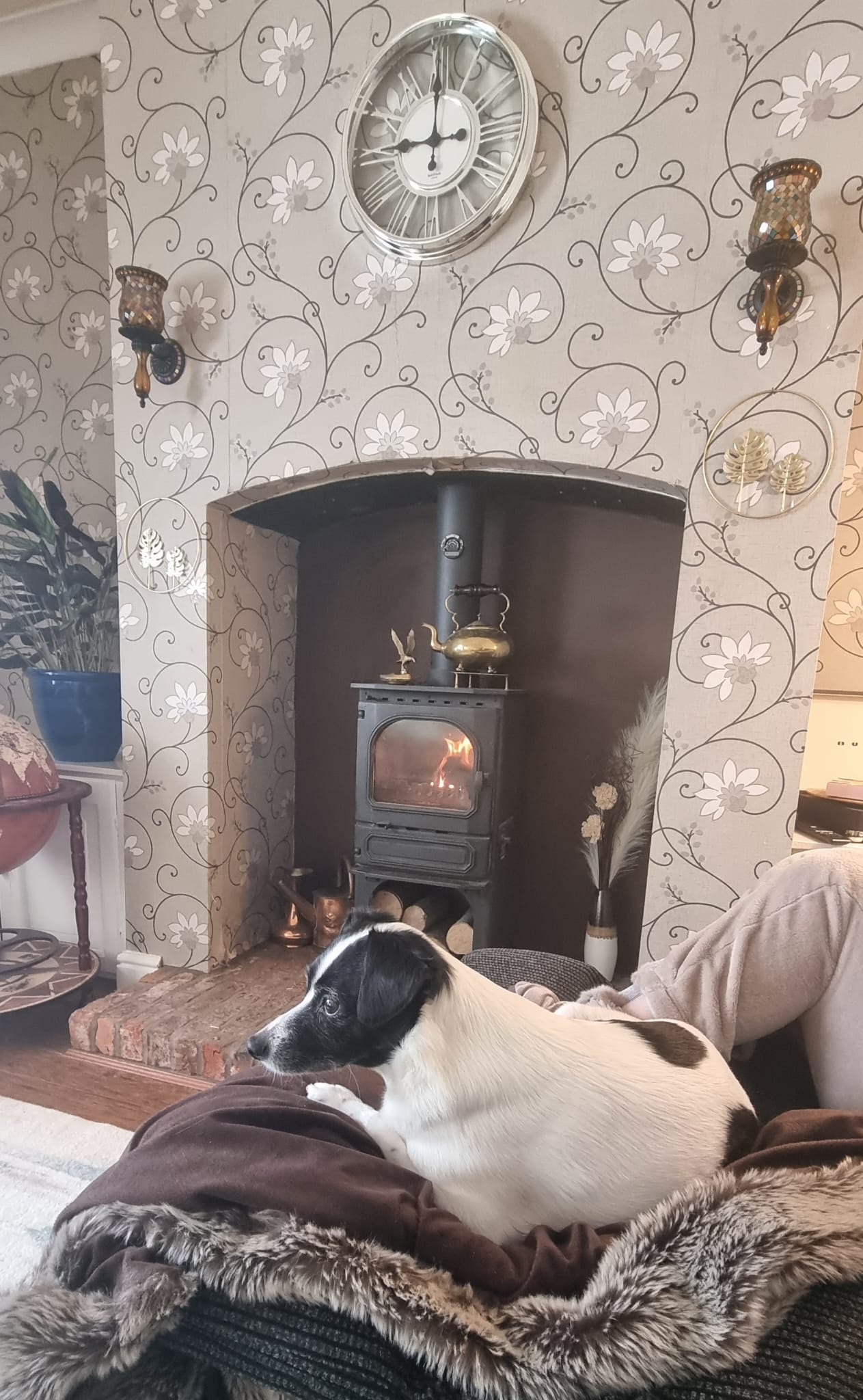 𝙲𝙾𝙼𝙿-𝟹 𝙸𝙽𝚃𝙴𝚁𝙰𝙲𝚃𝙸𝚅𝙴 🐷 on Twitter: "More game stuff tomorrow but I'm stoked with this colour. Now ...