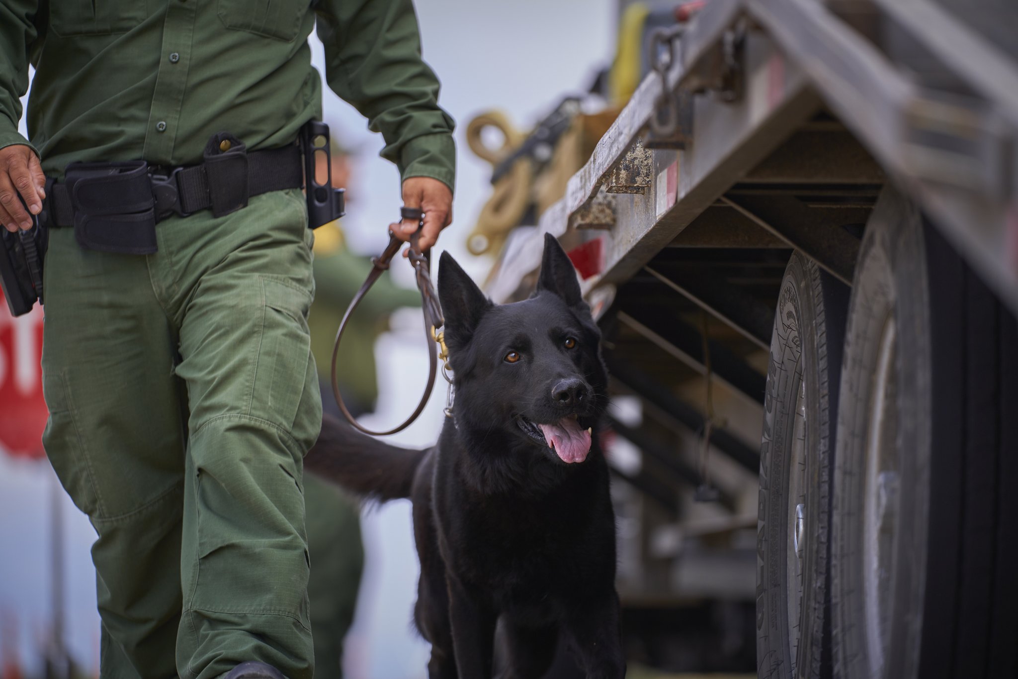 CBP on Twitter: "On Wednesday, Laredo Sector's Hebbronville Station intercepted a human ...