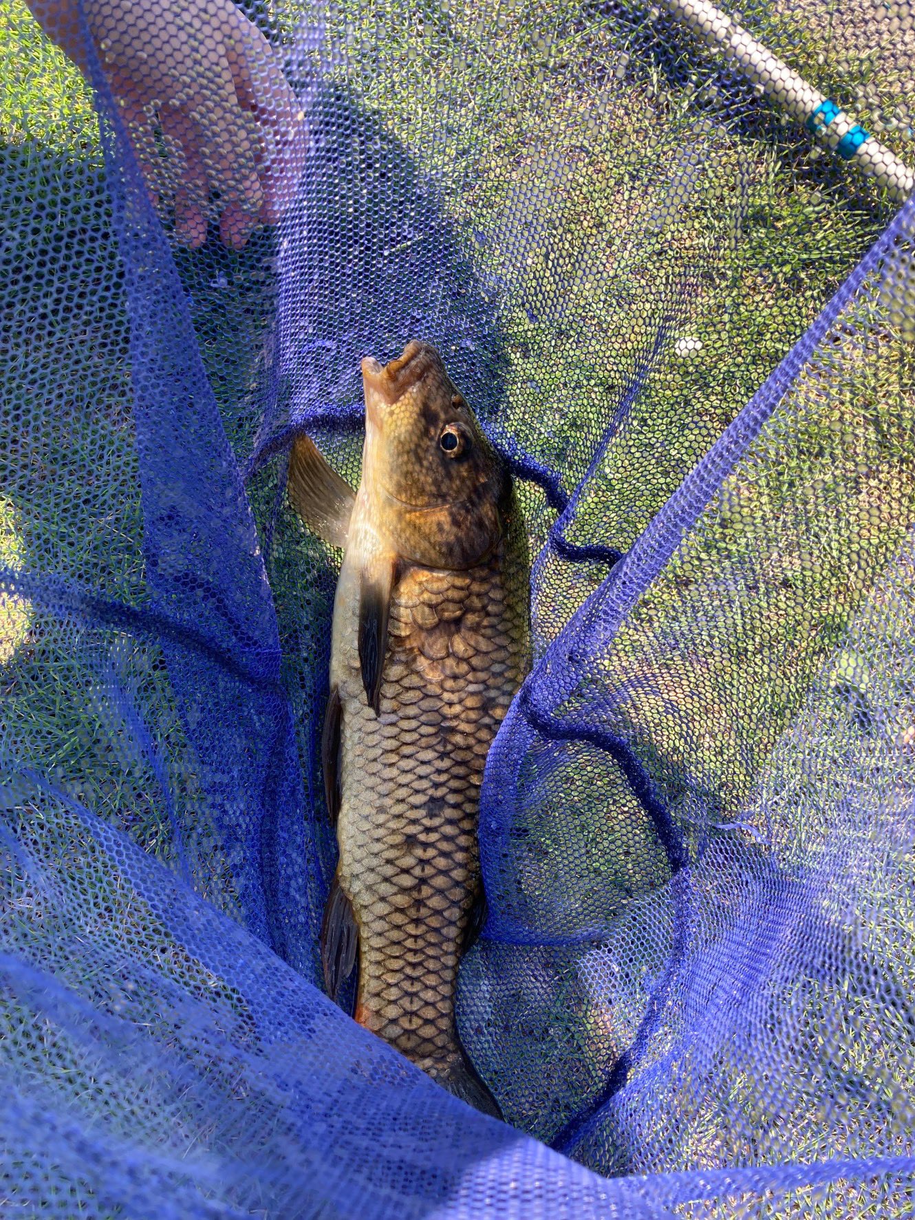 エイリゾ@C102/1日目（8月12日土曜）東2ﾎｰﾙS-07a on Twitter: "https://t.co/EZ7EbALDXy" / Twitter