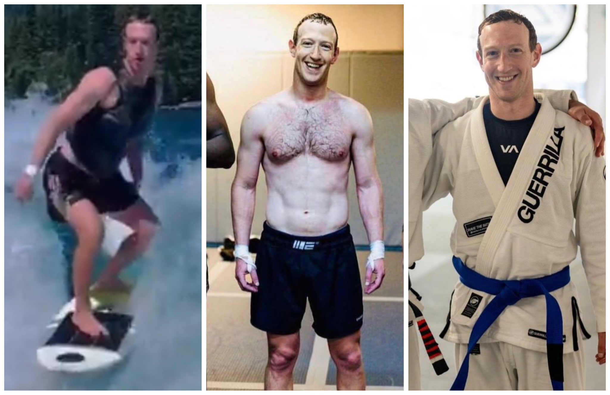 DogeDesigner on Twitter: "Meta's Twitter Killer app looses 70% of it's daily active users ...