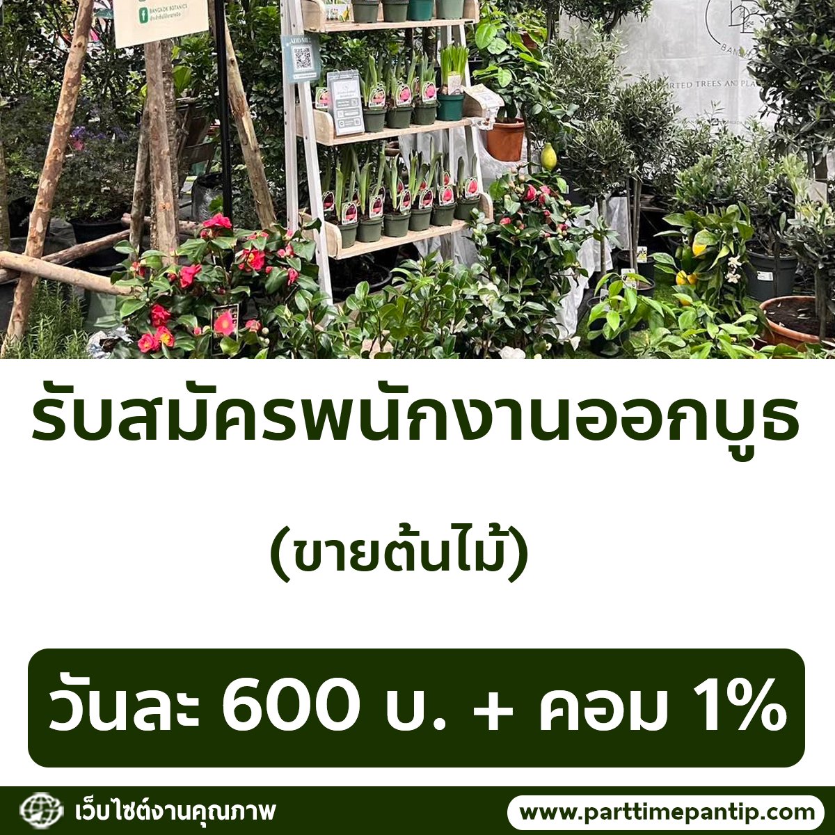 งาน Part Time - Full Time ปี 2566 on Twitter: "🪴 รับสมัครพนักงานออกบูธ ขายต้นไม้ รายได้ • วันละ ...