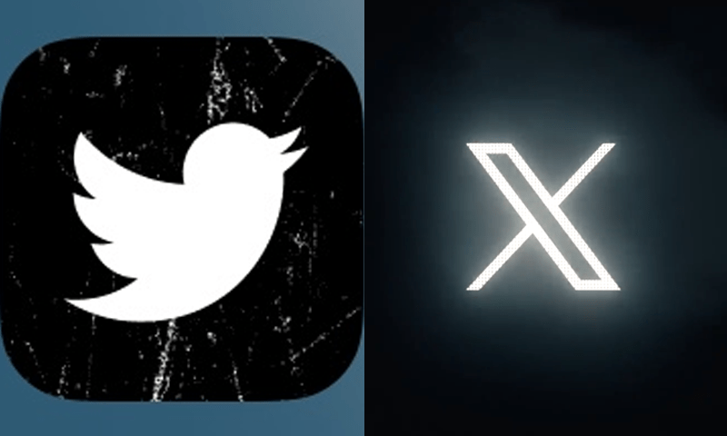 Official Twitter Icon For Website