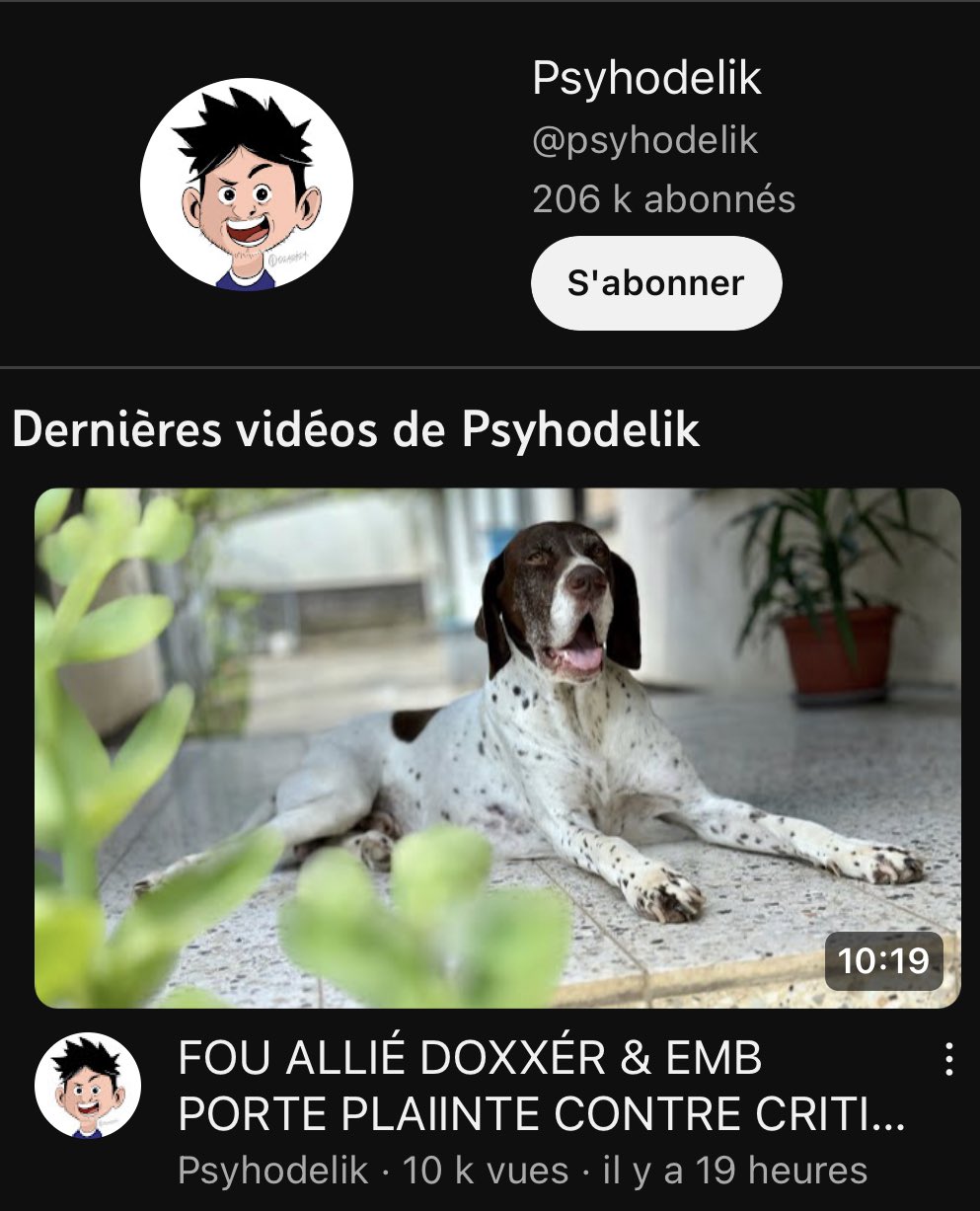Critix on Twitter: "Et bah cela n’a pas tardé, Psychokwak à fait une vidéo sur moi. Une vidéo au ...