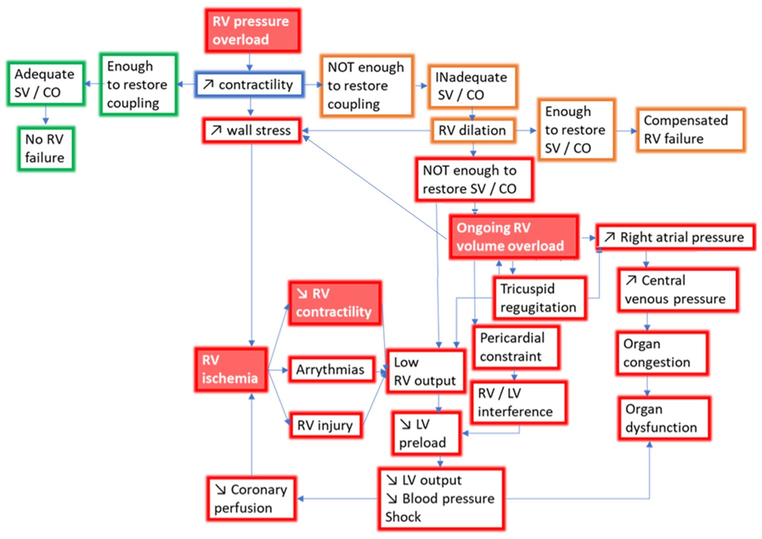 Critical Care Reviews on Twitter: "Pressure Overload and Right Ventricular Failure: From ...