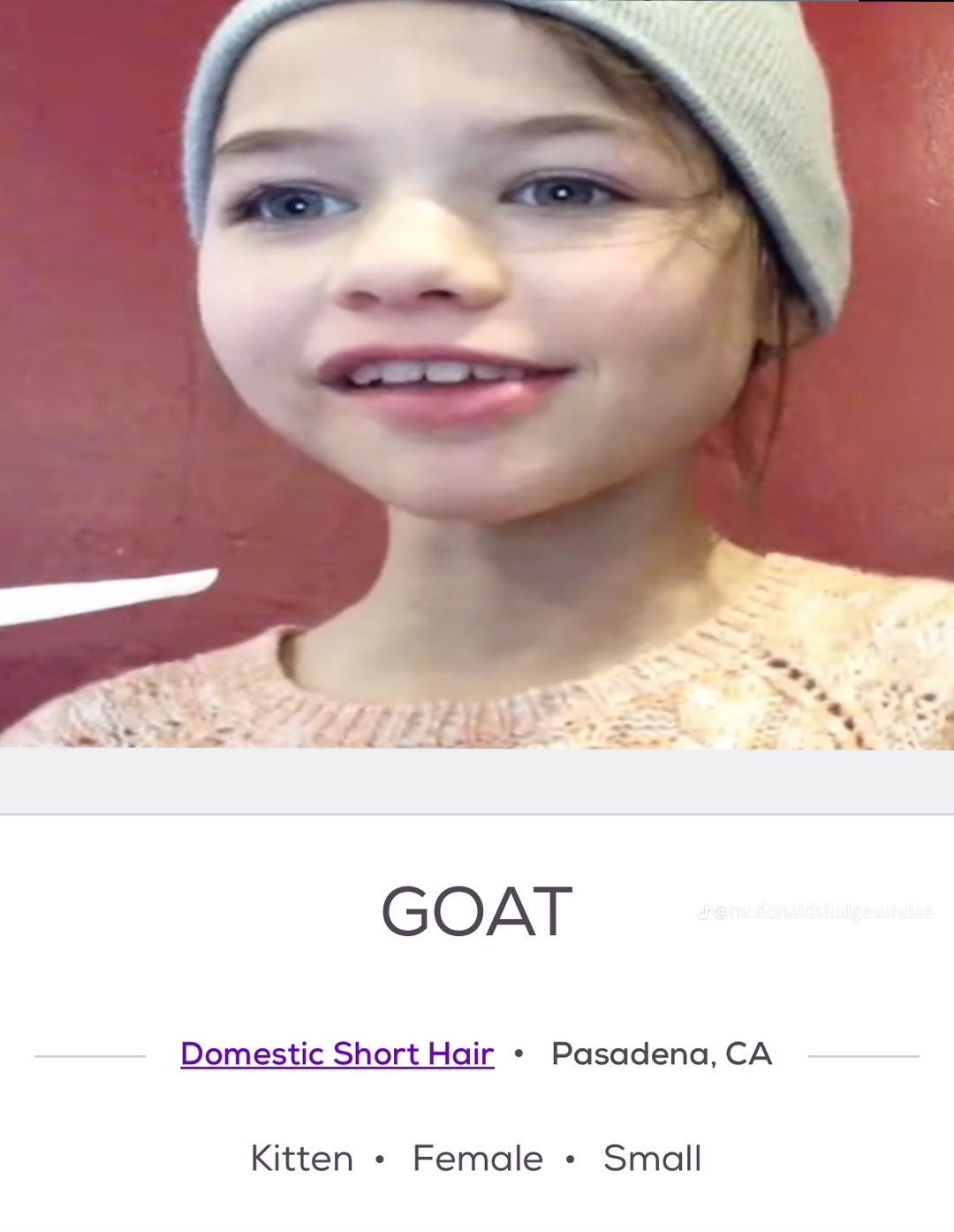 Nova 🪐 {Lumina’s no.1 fan} on Twitter: "These images go hard https://t.co/oIYTH5Ropt" / Twitter