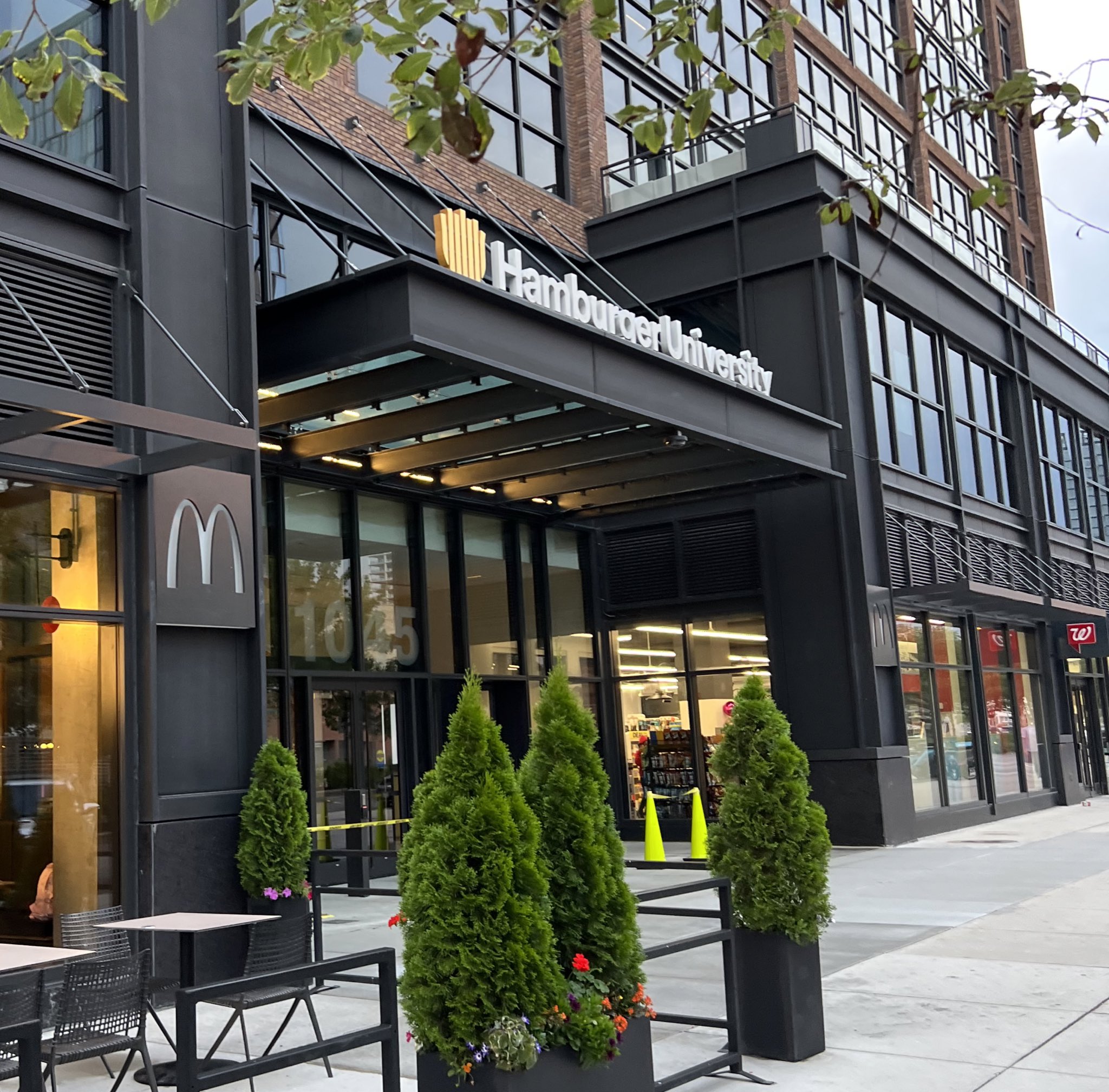 brian cheung on Twitter: "might go back to school https://t.co/P1oVTRKuLg" / Twitter