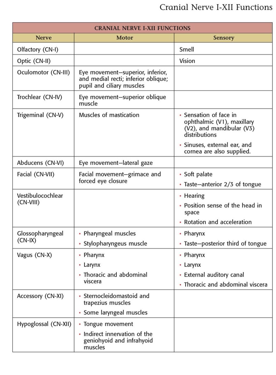 Cranial Nerves Chart And Their Functions