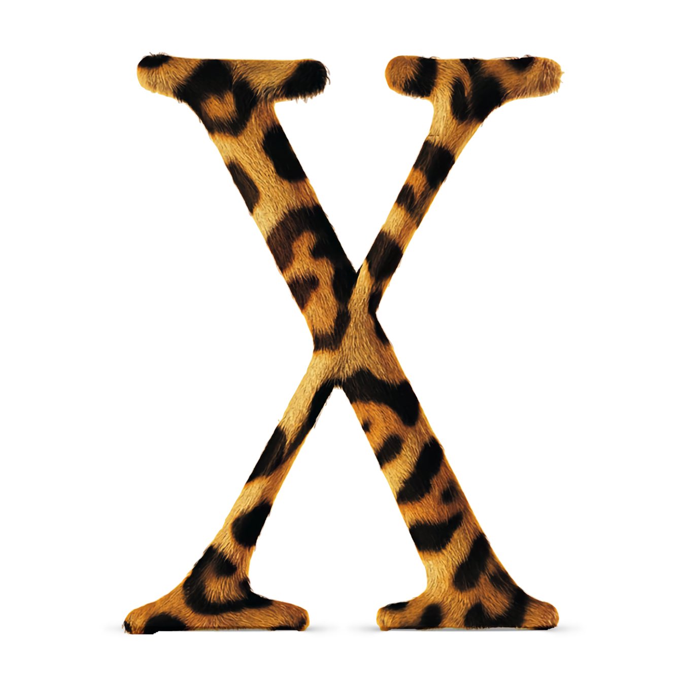 Basic Apple Guy on Twitter: "X? https://t.co/ScHtp8SBEL" / Twitter