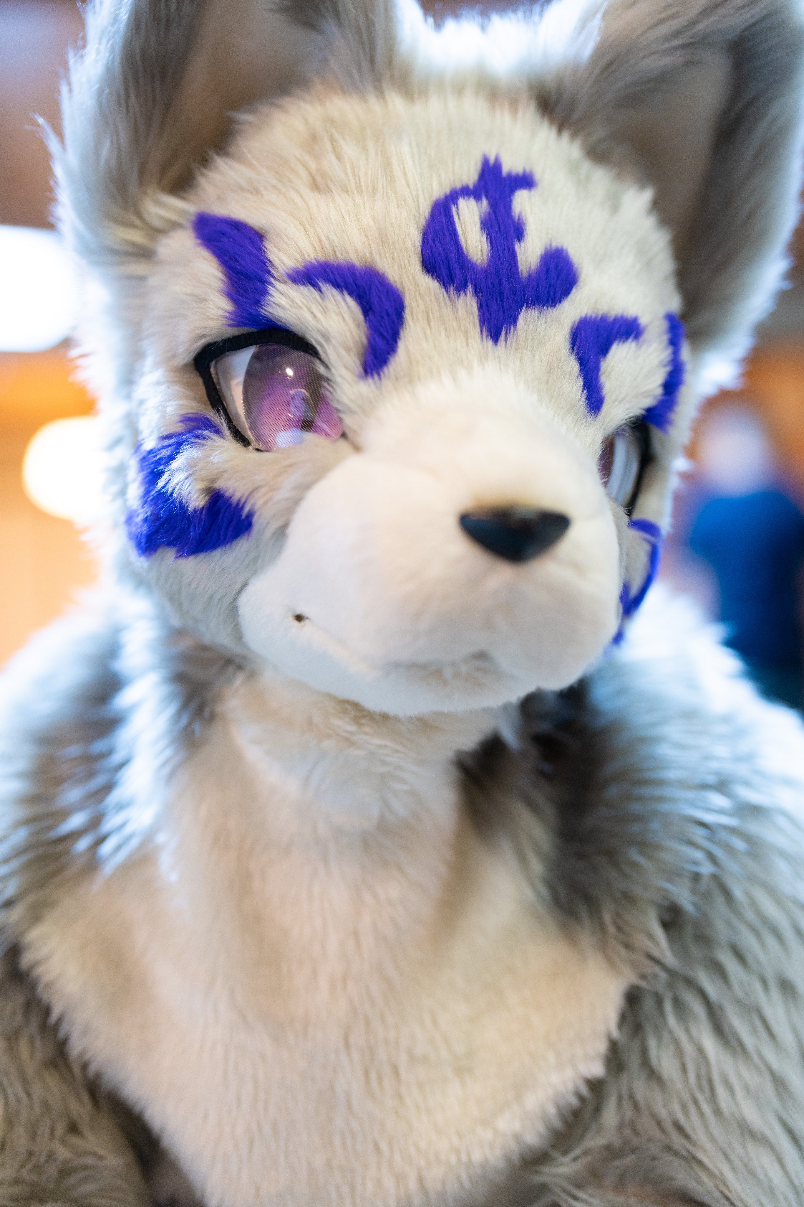 Calabi on Twitter: "RT @nirenire1206: https://t.co/sG02J4xRRi" / Twitter