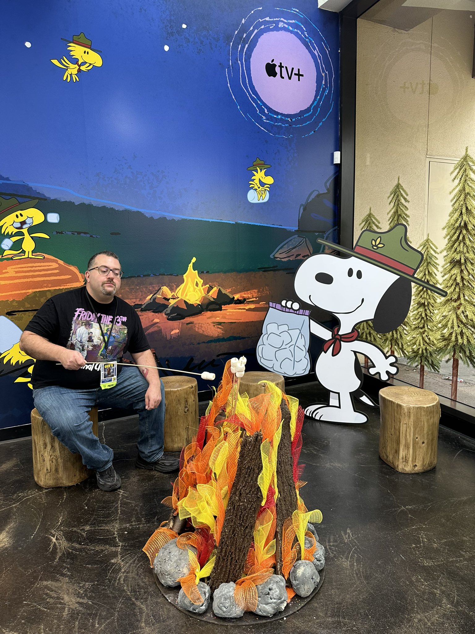 Snoopy Friday The 13th 1973 A Charlie Brown Thanksgiving Movie Poster