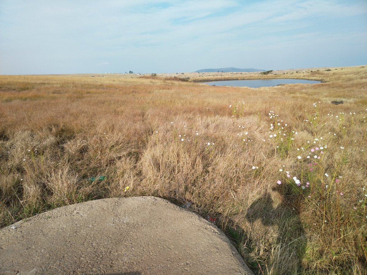 BIOMAGNETIC WATER IS A HIGH GRADE WATER THAT IS FOUND IN NATURE BUT NOT ...