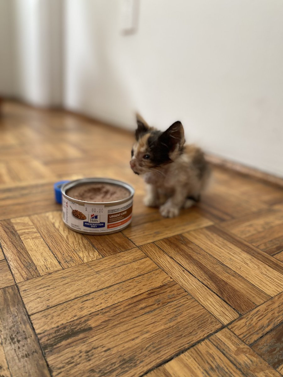 Alina's Threads – Thread Reader App