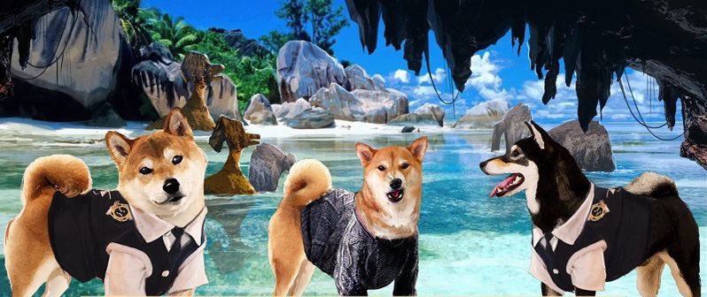 DogPad Finance on Shibarium! on Twitter: "Just one week of July remaining and August starts… Are ...