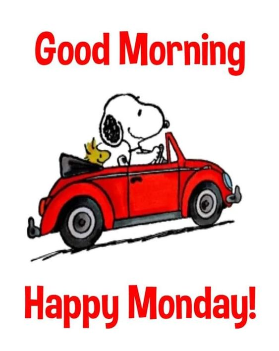 mai&kiki魔女の宅急便 on Twitter: "@cujo_matsuhide https://t.co/8QqGraOSzT" / Twitter