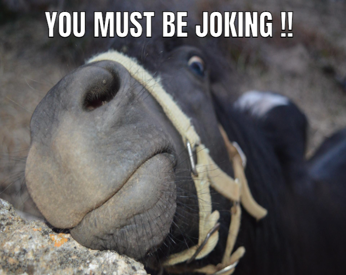 You Gotta Be Joking Meme