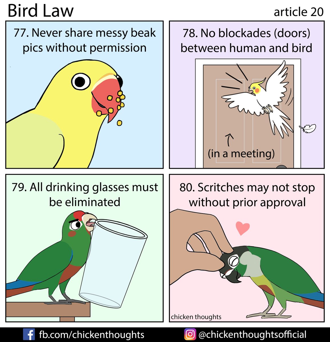 「Bird law article 17 starring Beau, Tiger, Poppy & Sesame, an」Chicken ...
