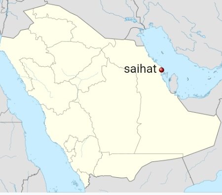 🟢🟡 Fundado em 1945 na cidade de Saihat, o Al Khaleej Club, o chamado ...