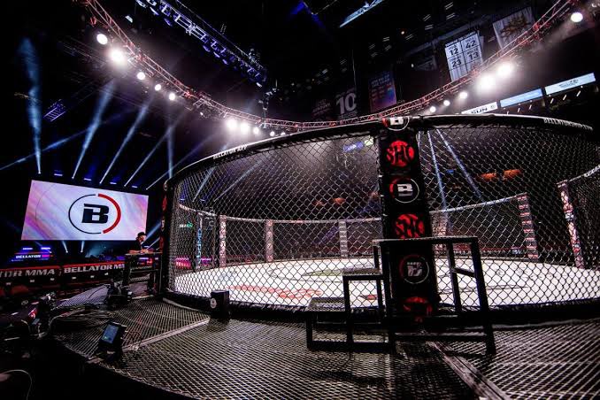 【実は微妙に違う】色んなケージ🕸️どれが好き⁉️ 🇺🇸UFC - Octagon 🇺🇸Bellator - Circle Cage 🇺🇸PFL ...