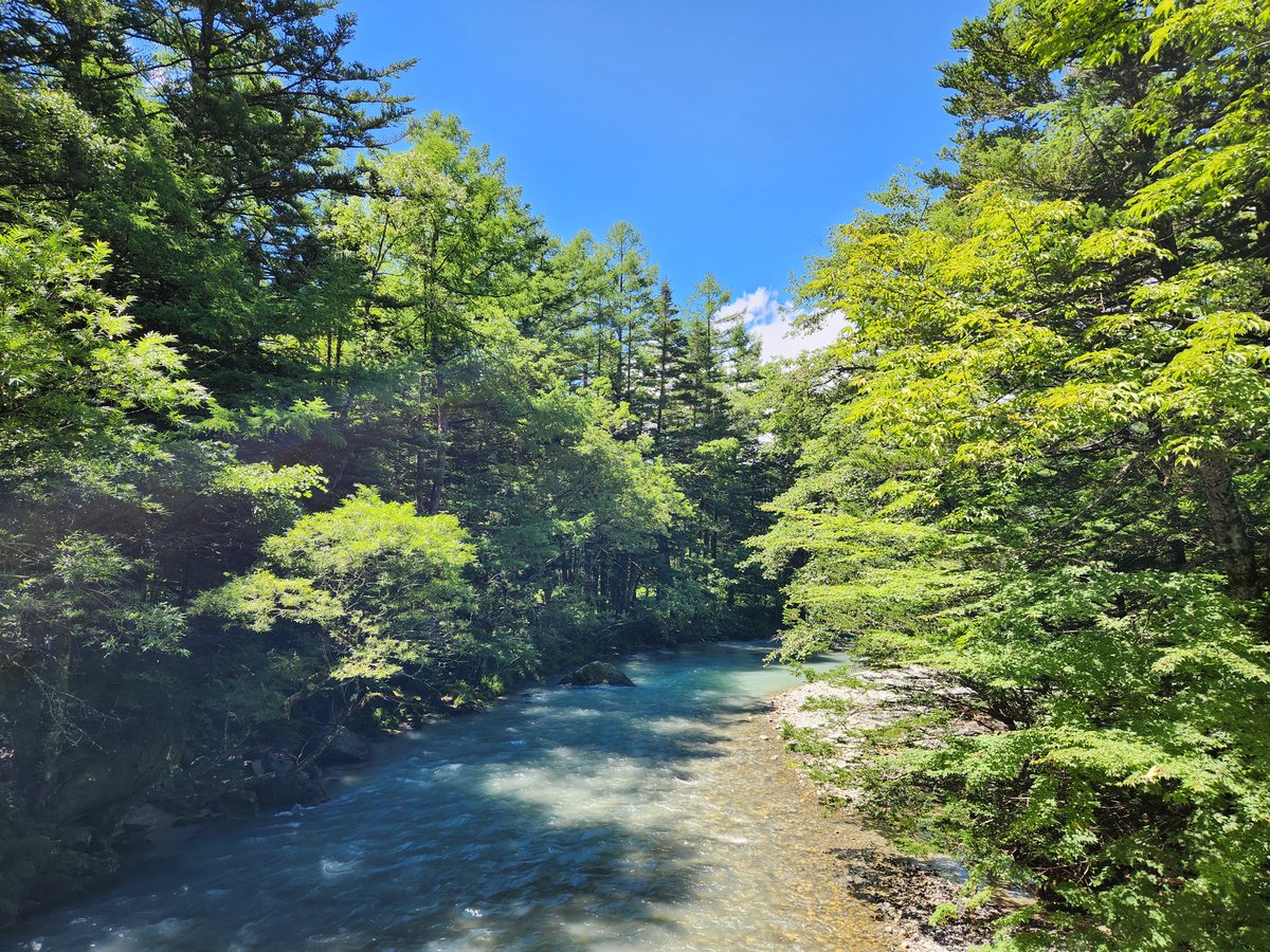 あかさき(🎫 ️)(@earthcode) - Twilog