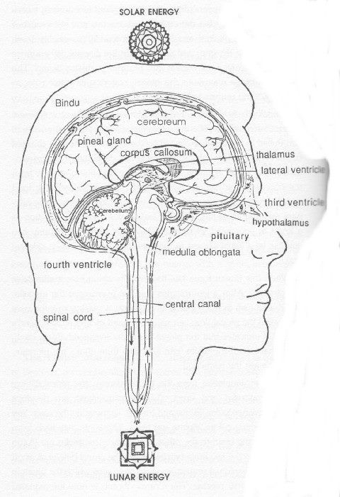 X-Mas COME EARLY! 🧵 The word CLAUS etymologically is linked to the ...