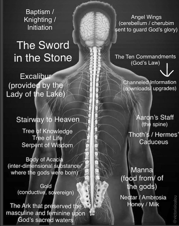 X-Mas COME EARLY! 🧵 The word CLAUS etymologically is linked to the ...