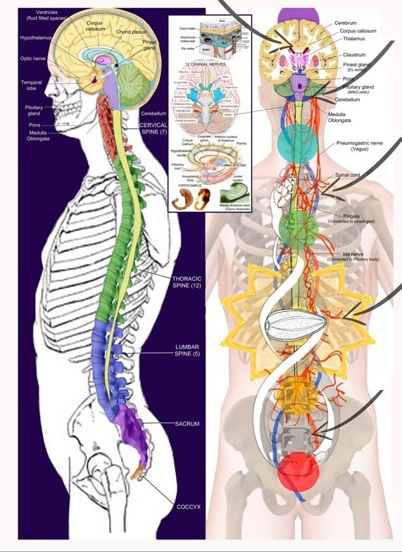 X-Mas COME EARLY! 🧵 The word CLAUS etymologically is linked to the ...
