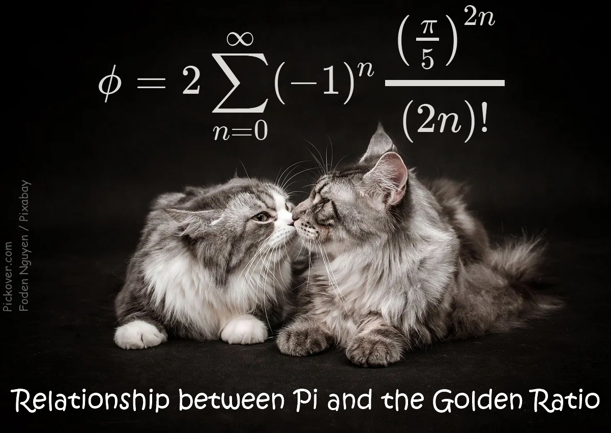 Grumpy Cat Algebra