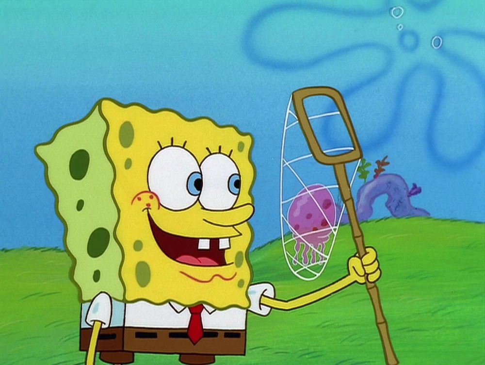 Jellyfish Net Spongebob