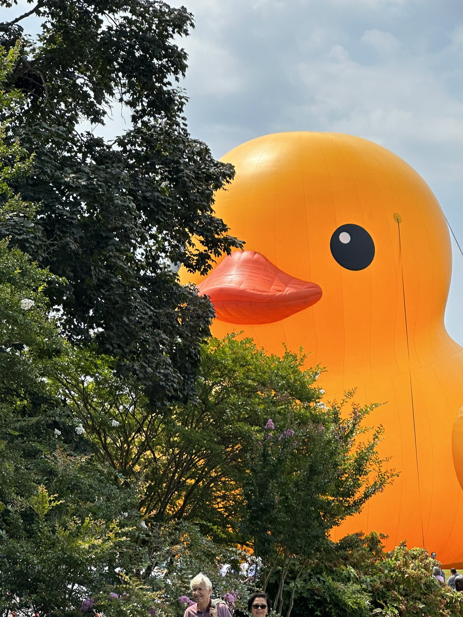 Giant Rubber Duck Wallpaper