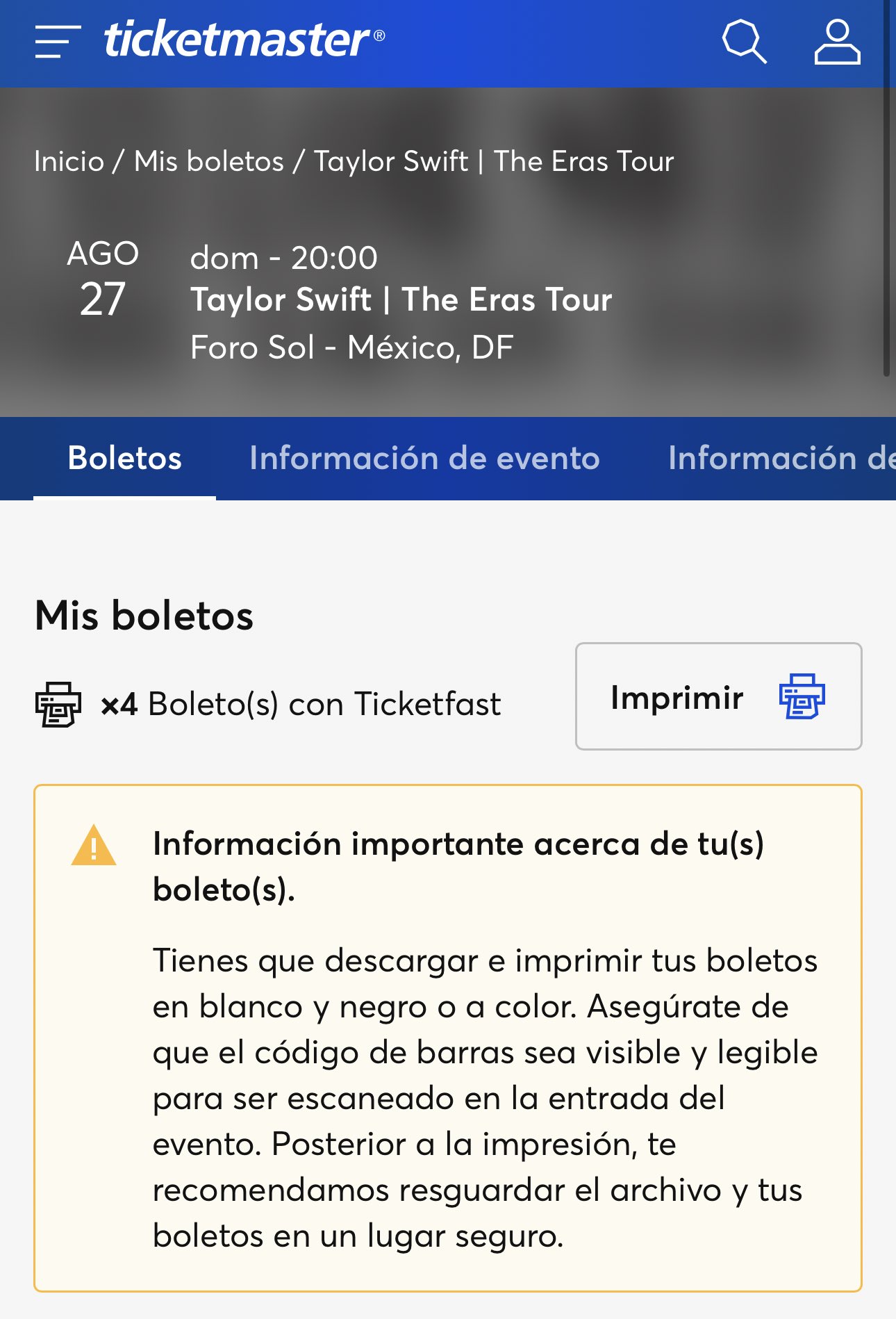 Boleto De Ticketmaster En Blanco