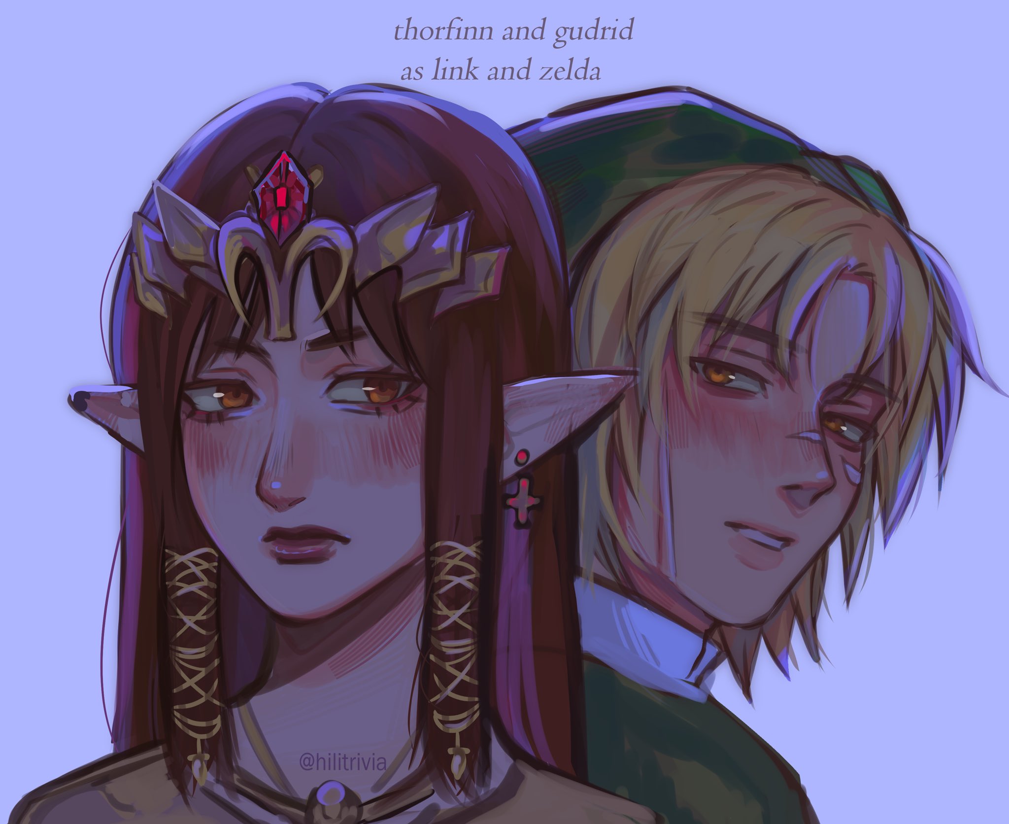 Link X Zelda Twilight Princess