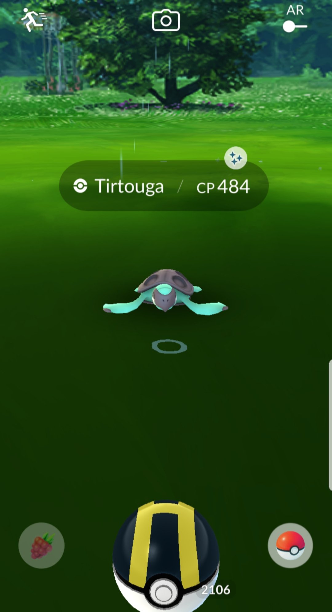 Shiny Tirtouga