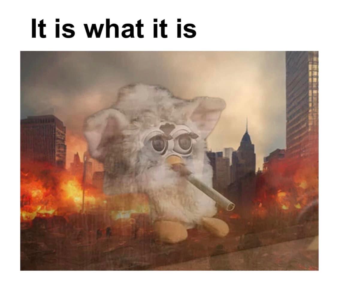 Funny Furby Meme